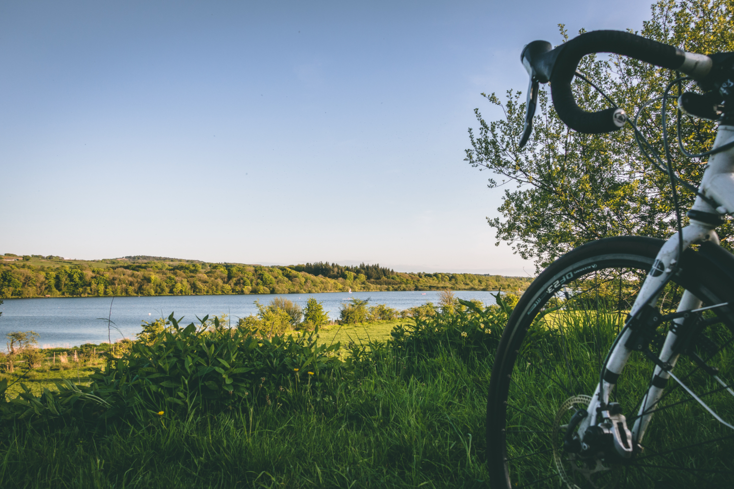 DATES FOR YOUR DIARY AS THE 2021 PAISLEY BOOK FESTIVAL GOES DIGITAL ...