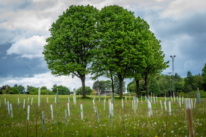 Plans launched to plant ten trees for every person in Glasgow City ...