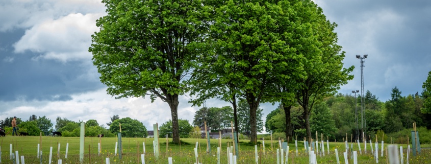 Plans launched to plant ten trees for every person in Glasgow City ...