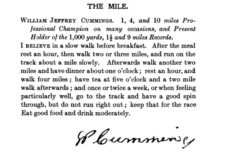 Paisley Museum team uncovers links to Scotland’s Victorian lost world ...