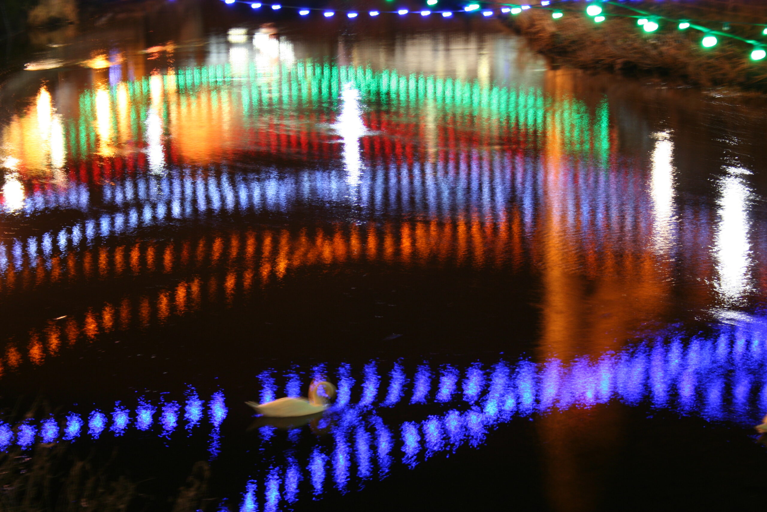 Help Provost Cameron light up Renfrewshire this Christmas - Paisley ...